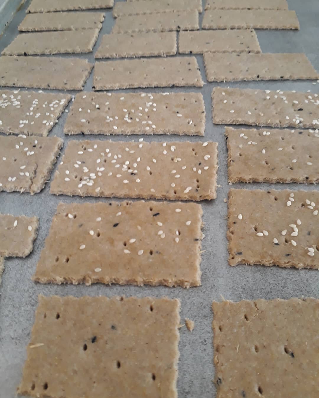 طرز تهیه کراکر نمکی خانگی ساده و خوشمزه با خمیر مایه بدون فر